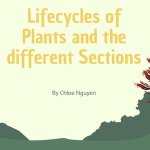 Life Cycle of Plants Science Book - Etsy
