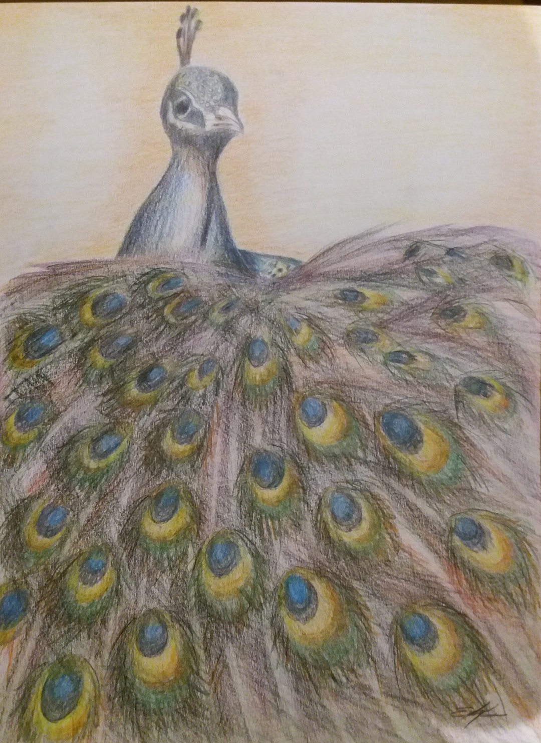 Drawing With Colored Pencils Original Handmade Art - Etsy