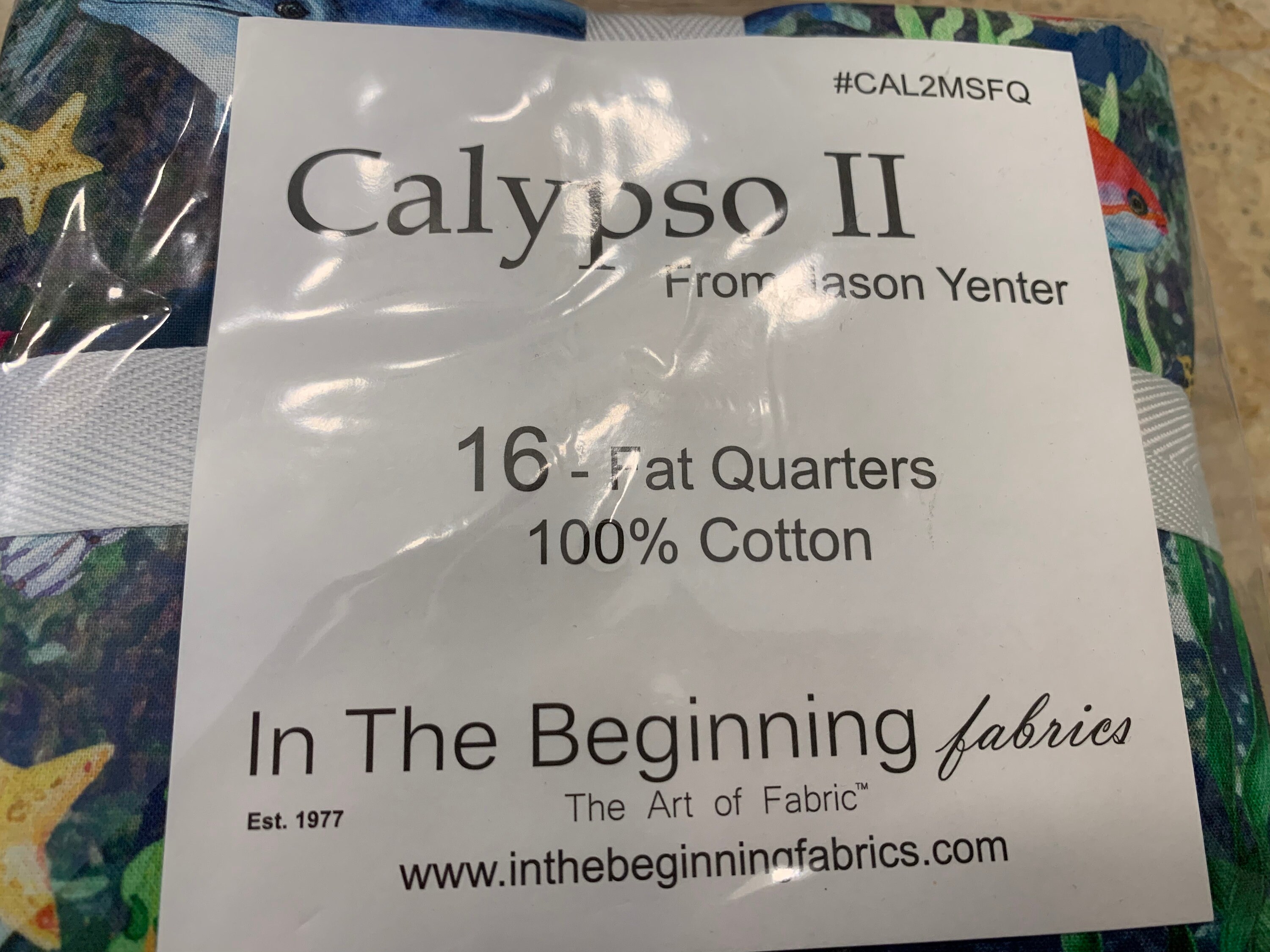 Calypso II in the Beginning Fat Quarter Bundle - Etsy
