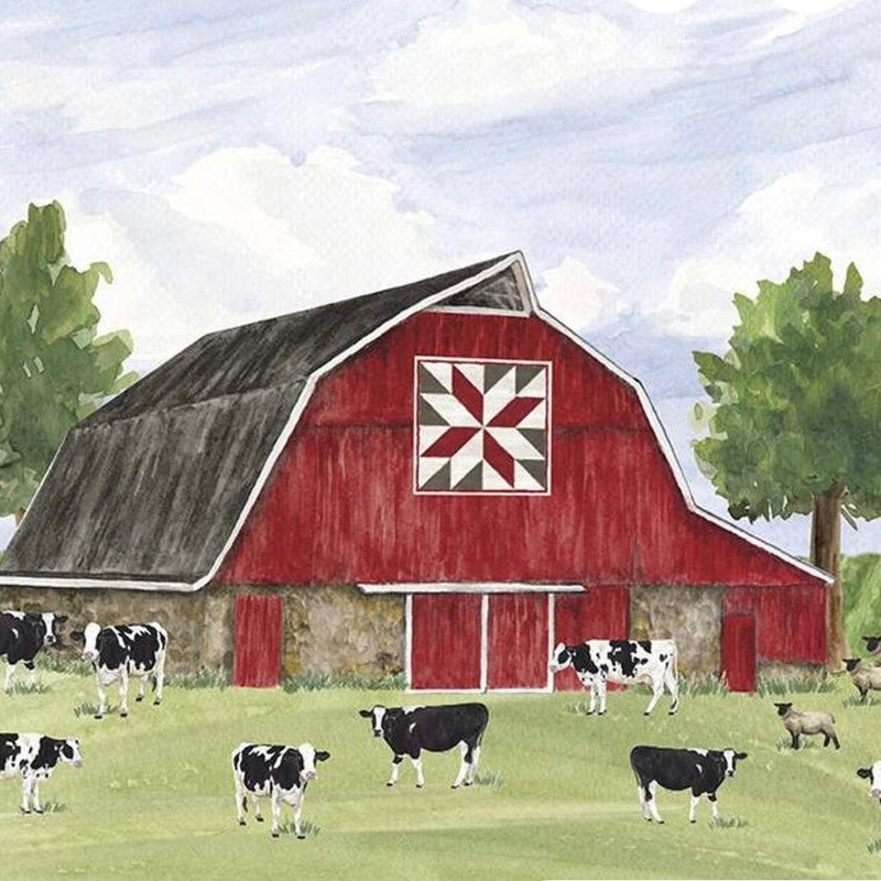 Barn Quilt Outside - Etsy
