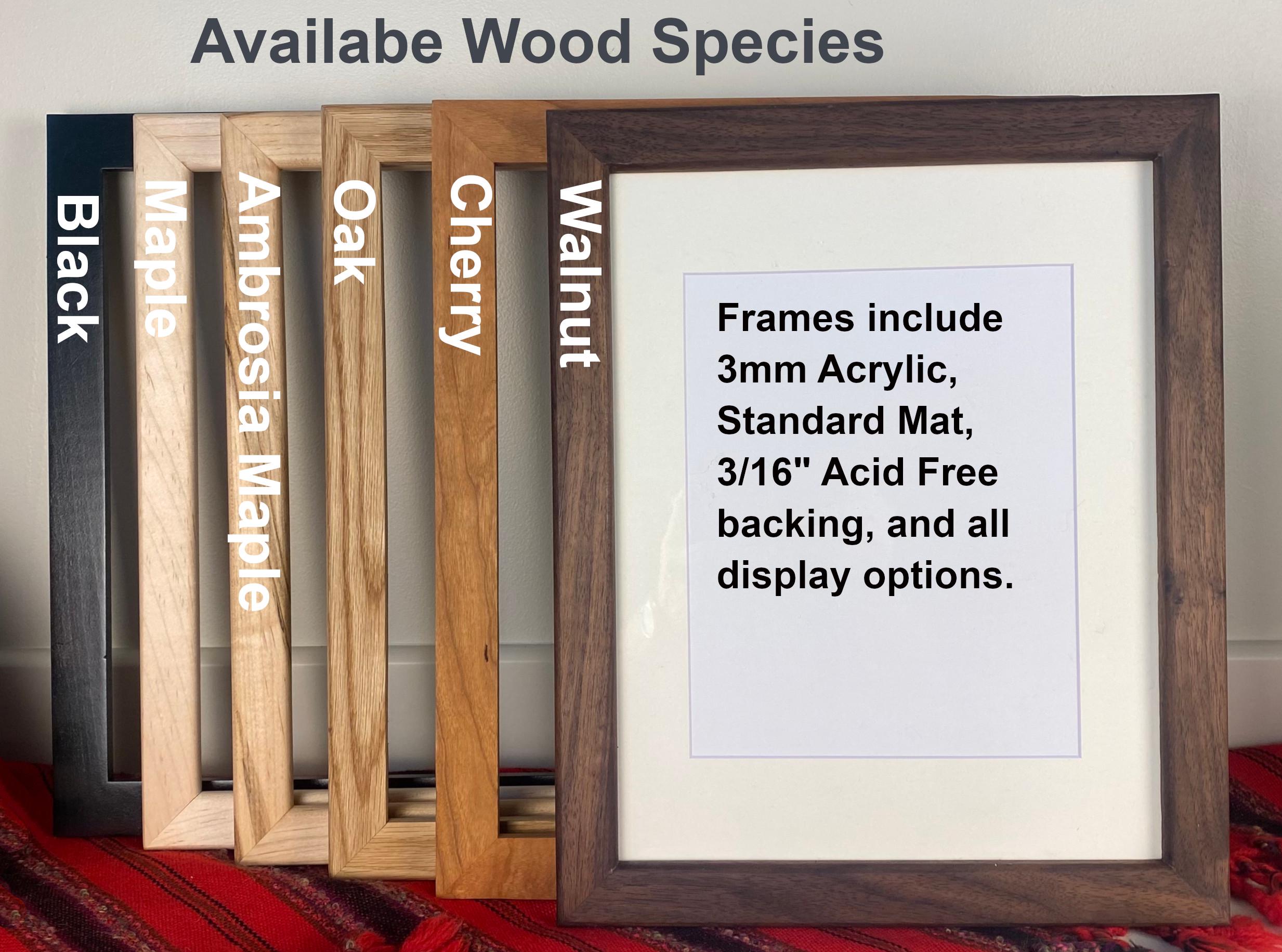 Hand-made Walnut and Other Hardwood Frames - Just Add Your Picture ...