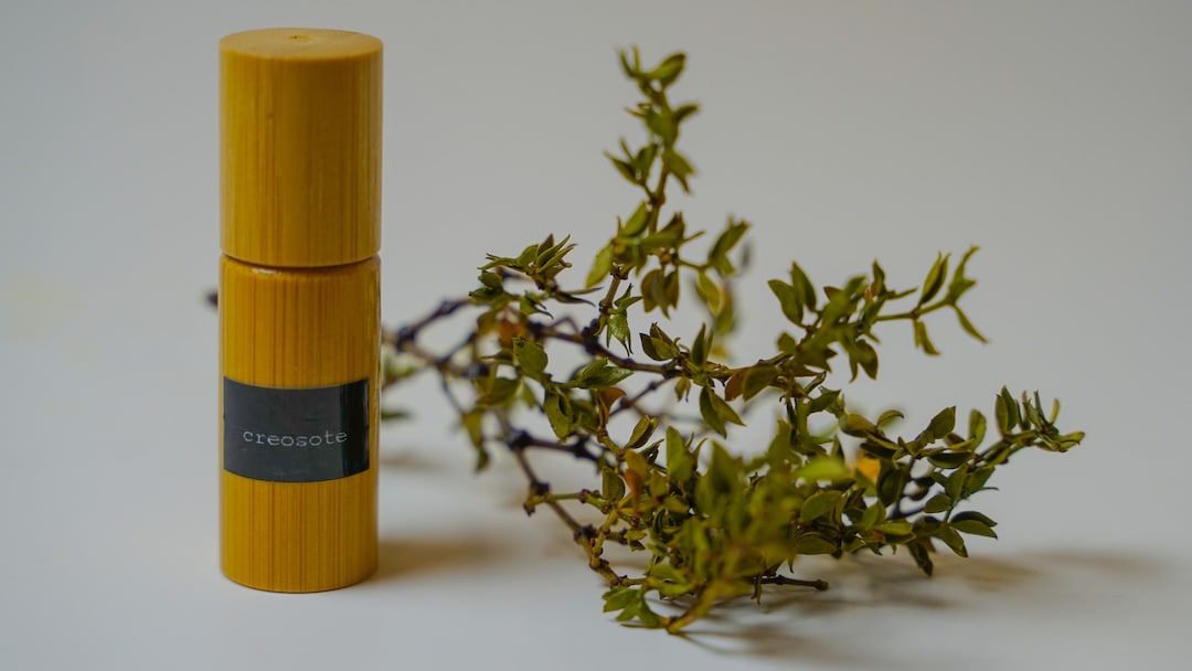 Desert Rain Fragrance Oil | Chaparral | Larrea Tridentata | Creosote ...