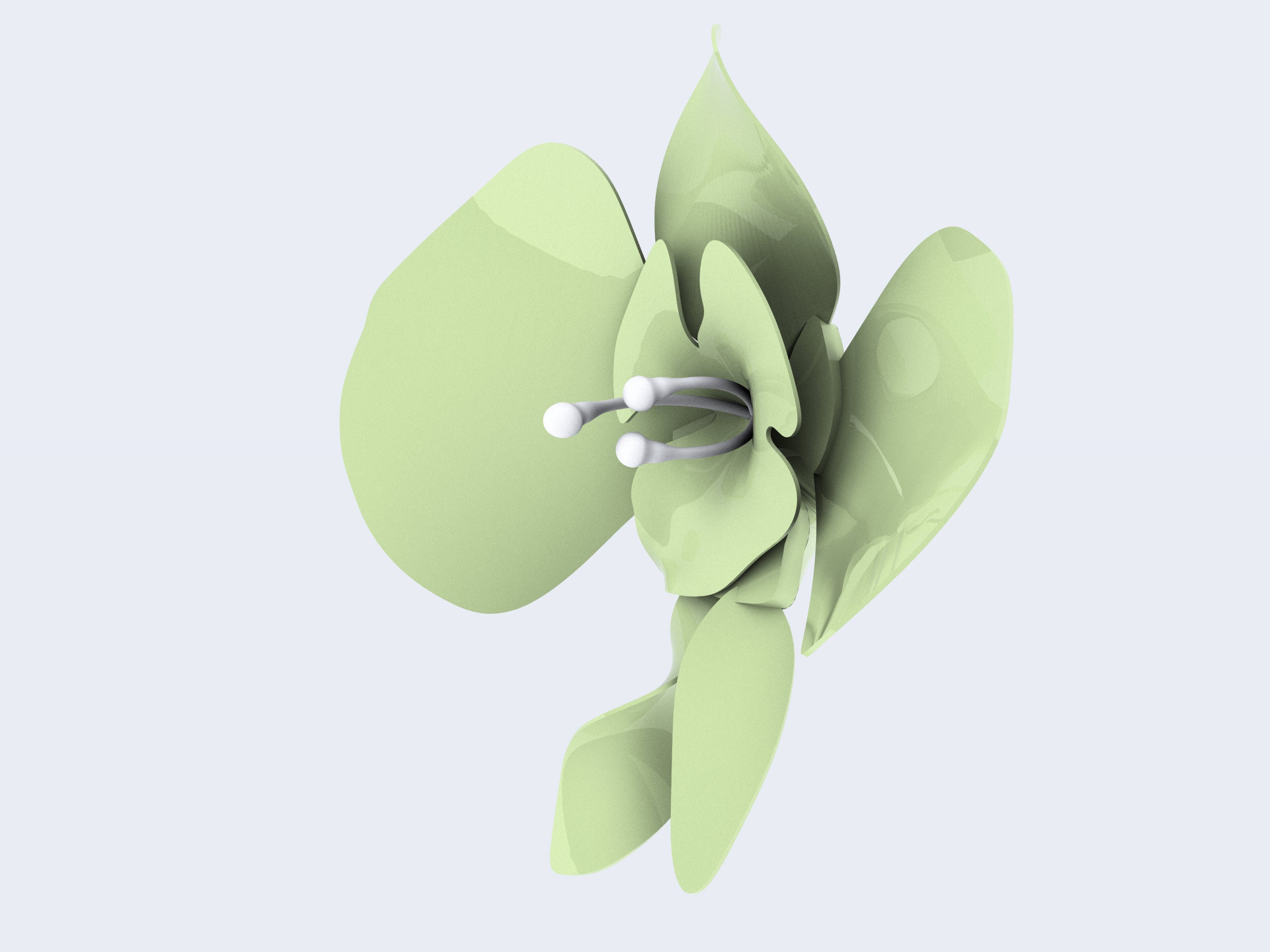 3d Models STL Drawing 3d Printer and Cnc-orchid Design for 3d Printing ...