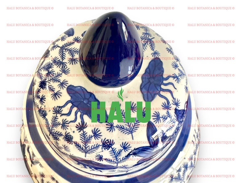 Sopera Olokun Yemaya Blue Fish/ Tinaja Potiche Olokun Azul Pezcado ...