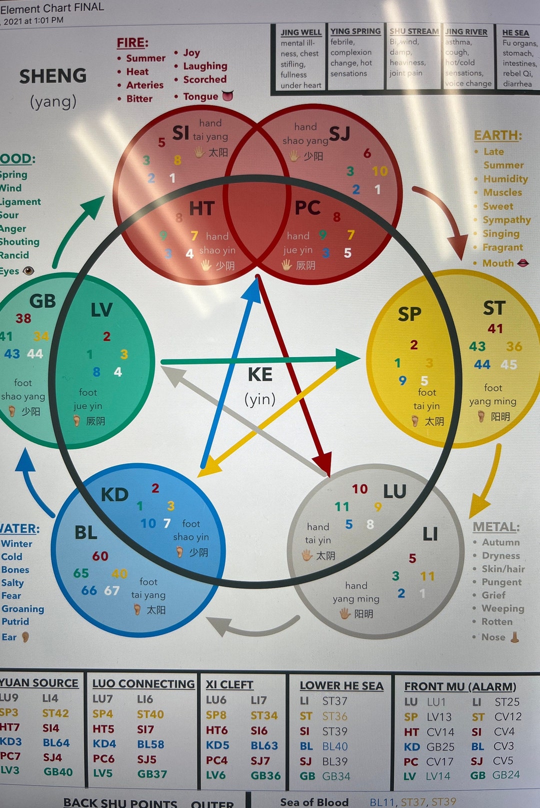 DIGITAL Acupuncture Quick Reference | 2 Page PDF, Five Element, Horary ...