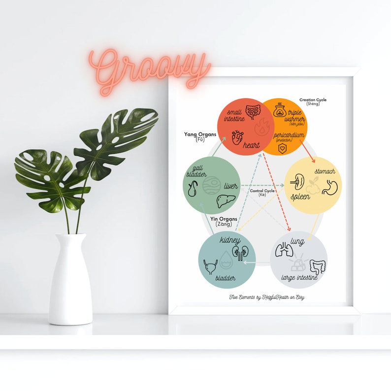 DIGITAL TCM 5 Element Poster Colorful Rainbow Sheng Ke Cycle Wood, Fire ...