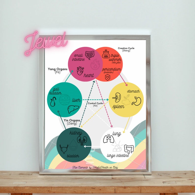 DIGITAL TCM 5 Element Poster Colorful Rainbow Sheng Ke Cycle Wood, Fire ...