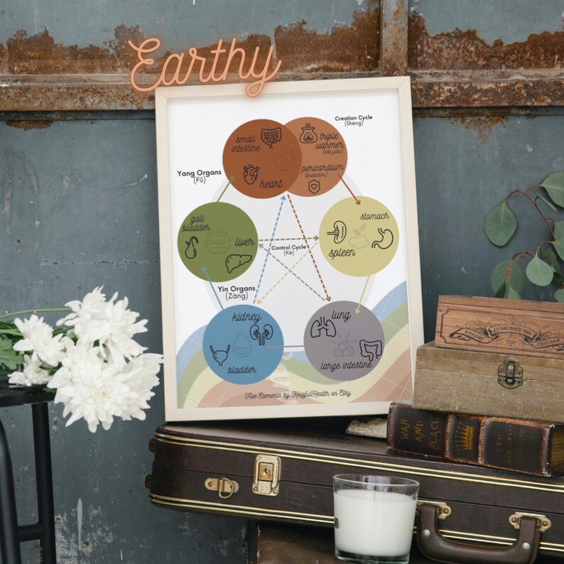 DIGITAL TCM 5 Element Poster Colorful Rainbow Sheng Ke Cycle Wood, Fire ...