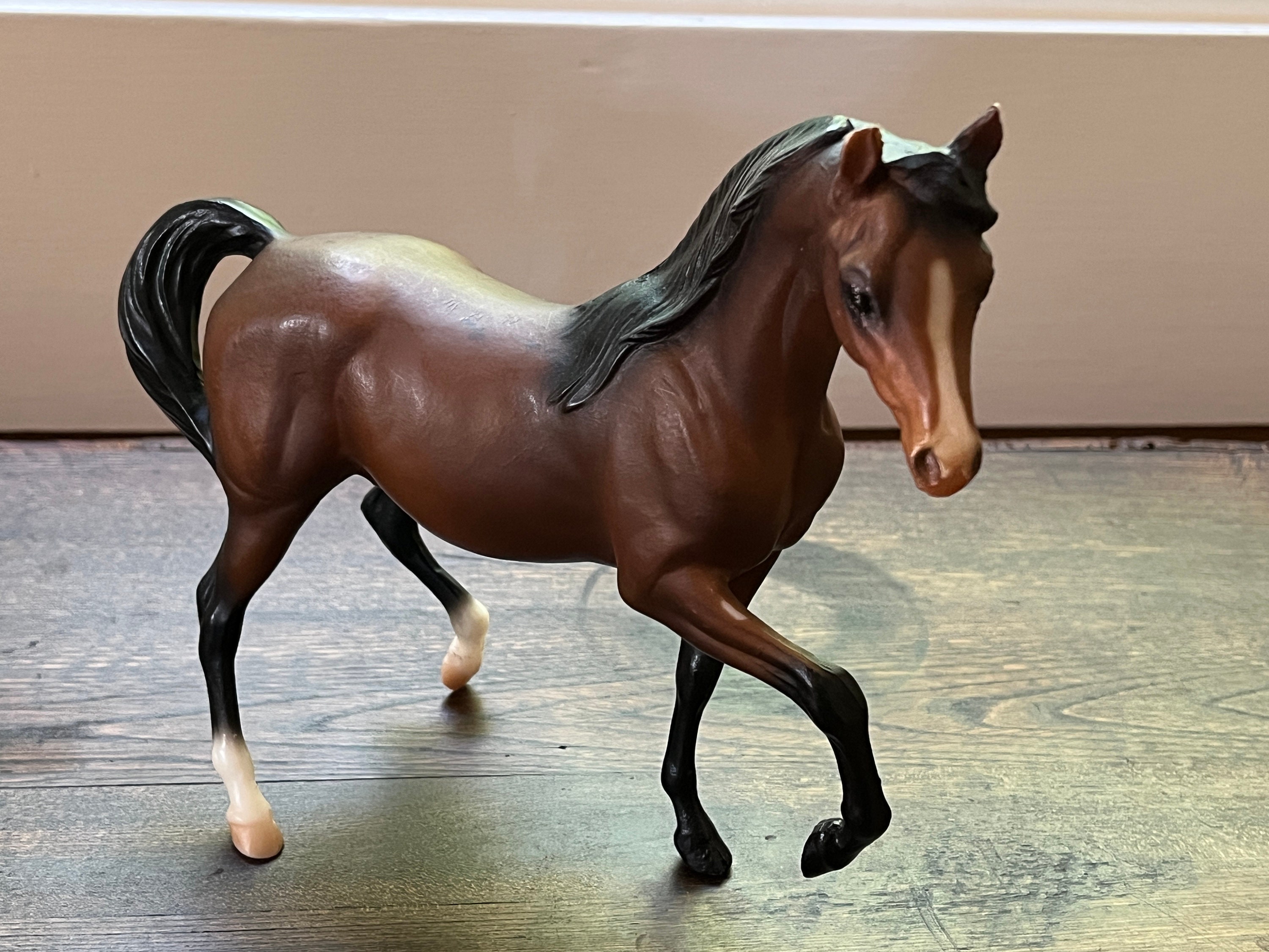 Dark Bay Arabian Horse