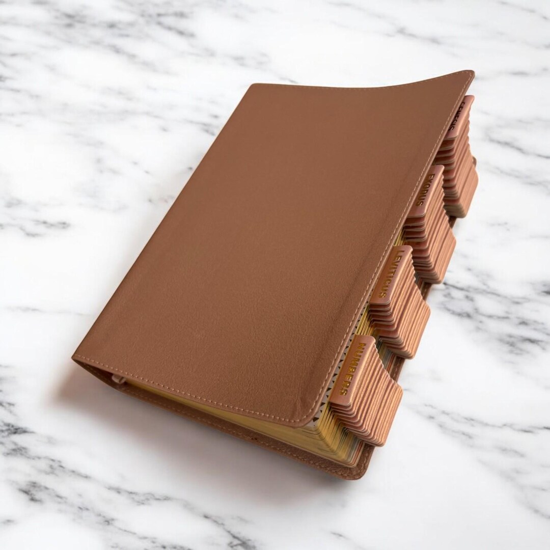 Custom Pink CSB She Reads Truth Tabbed BIBLE With Tabs Christian Gift ...