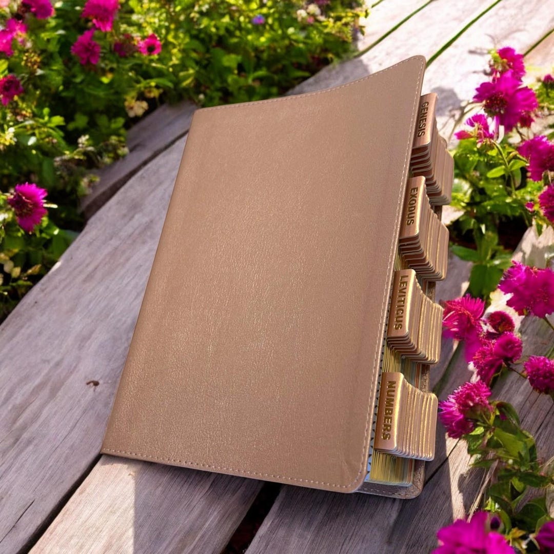 Custom Pink CSB She Reads Truth Bible Holy Tabbed Leather Tabs ...