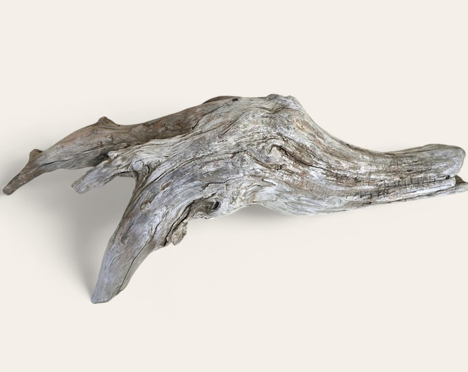 Rare Natural Character Driftwood , 19.5" Long, Multi Colored Natural ...