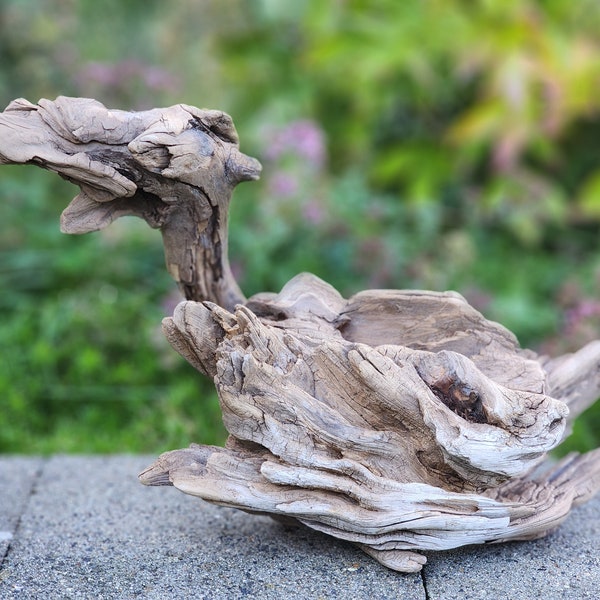 Natural Driftwood - Etsy