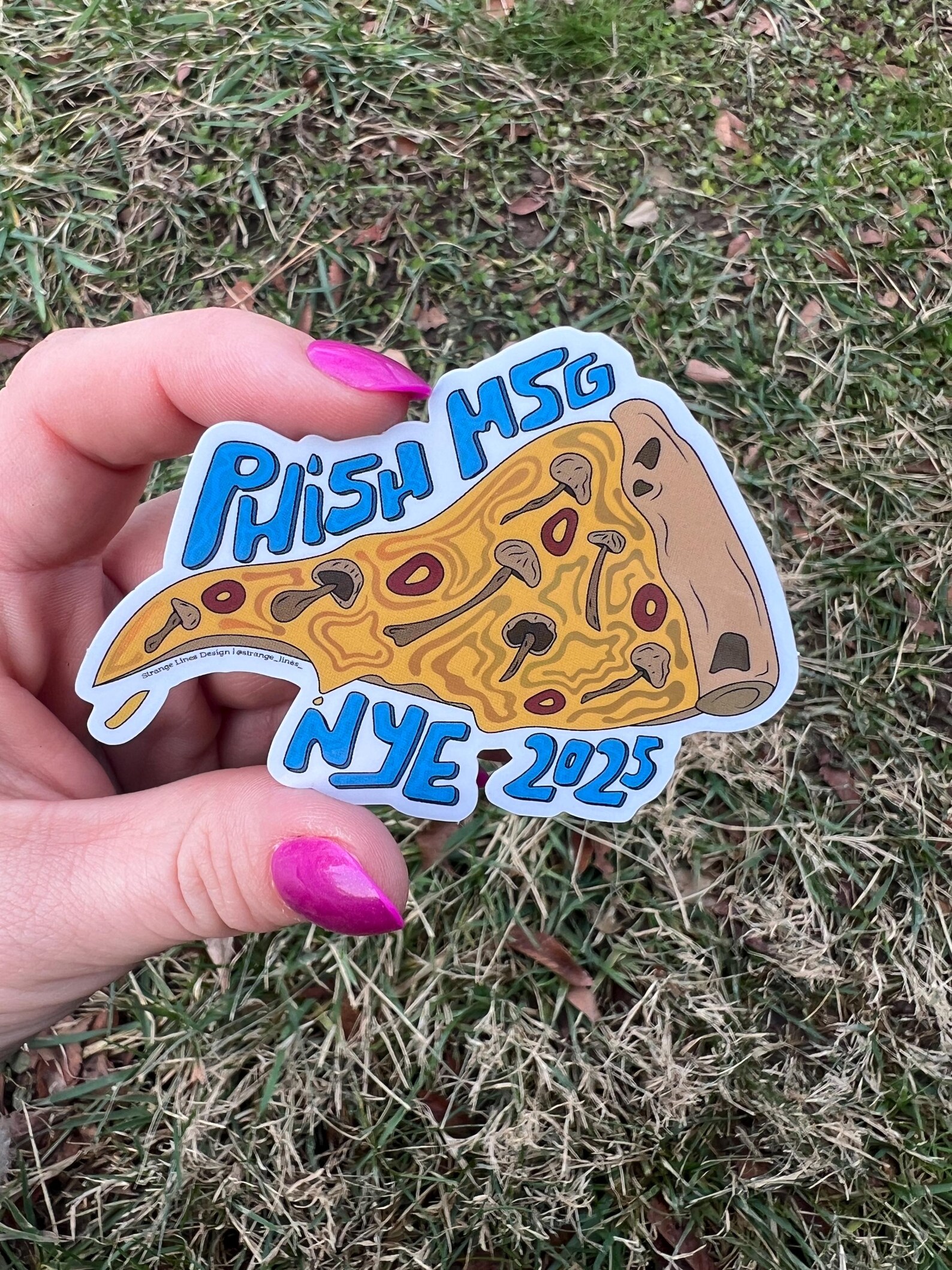 Phish NYE 2025 Holographic Pizza Sticker - Etsy