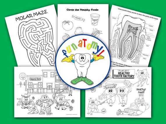 Tooth Parts Coloring Pages