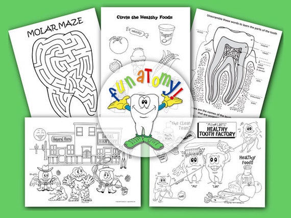 Dental Anatomy Coloring Pages