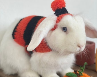 Pet Rabbit Clothing - Etsy