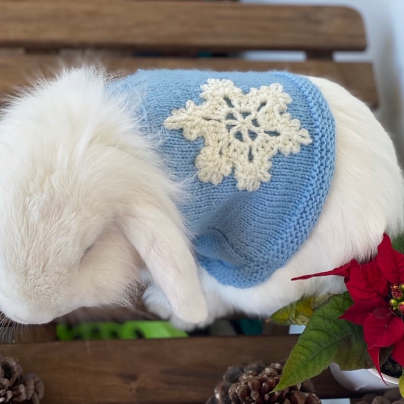Pet Rabbit Clothing - Etsy