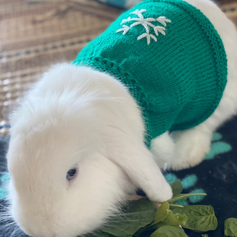 Pet Rabbit Clothing - Etsy