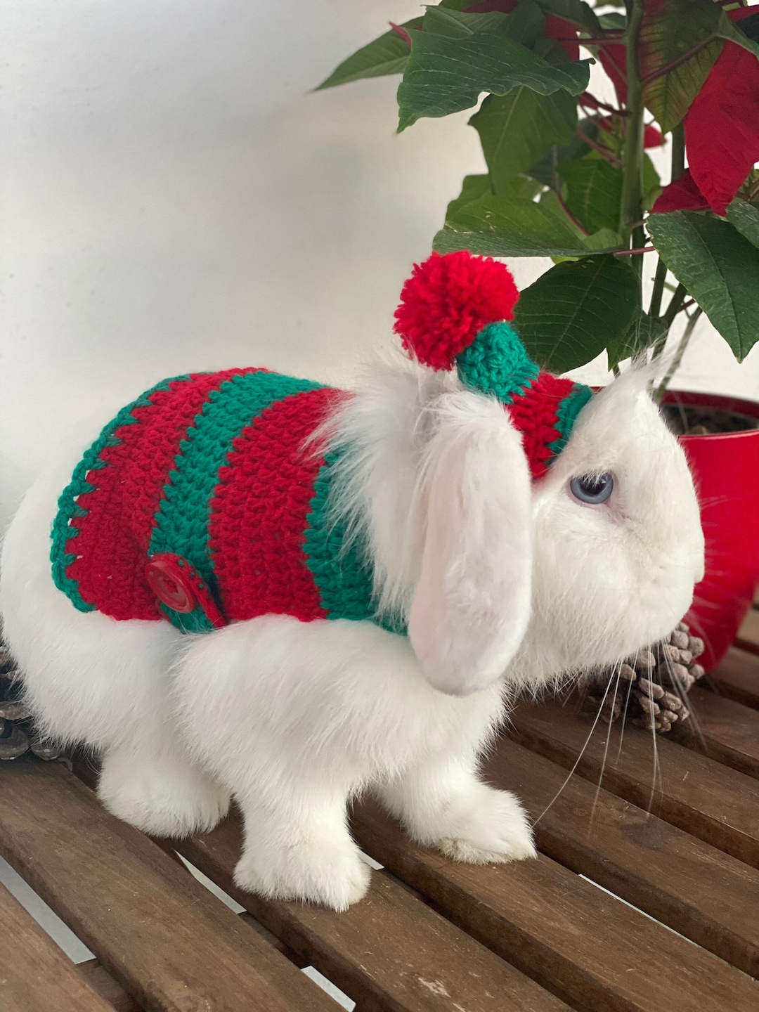 Rabbit Pet Christmas Clothing Set, Bunny Outfit, Pet Clothing, Bunny ...