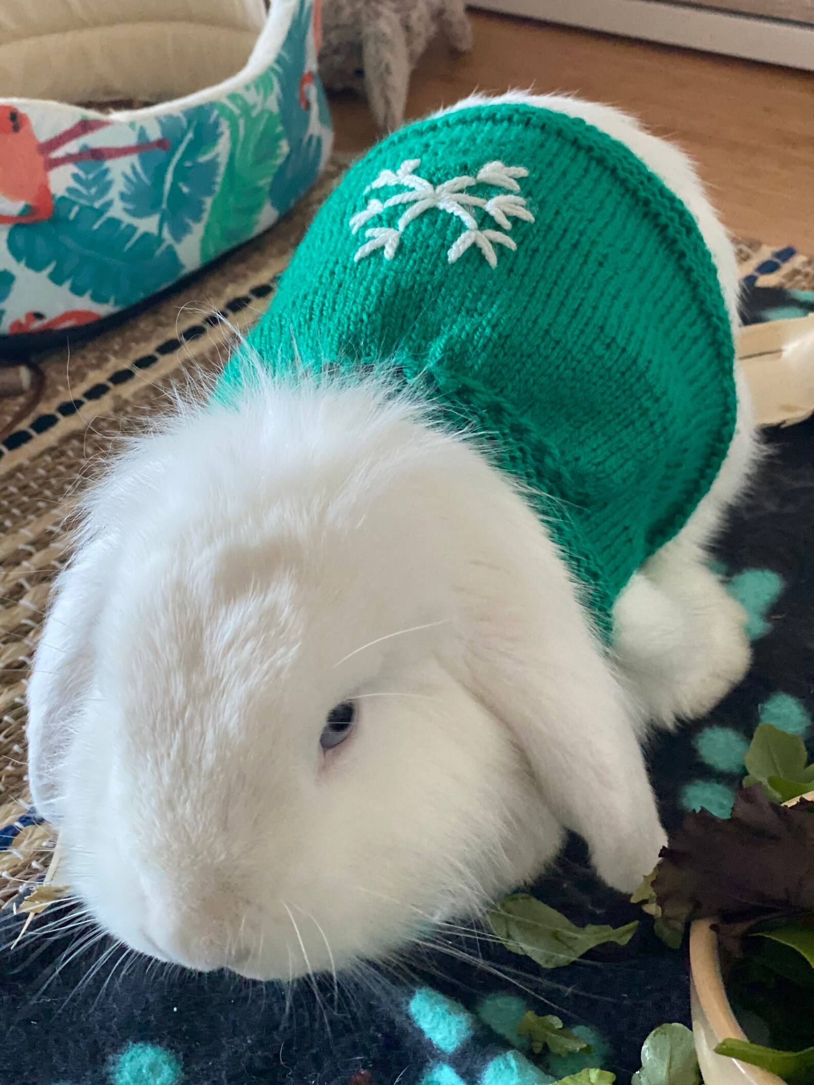 Christmas Rabbit Sweater: Crochet Bunny Outfit, Pet Lover Gift - Etsy