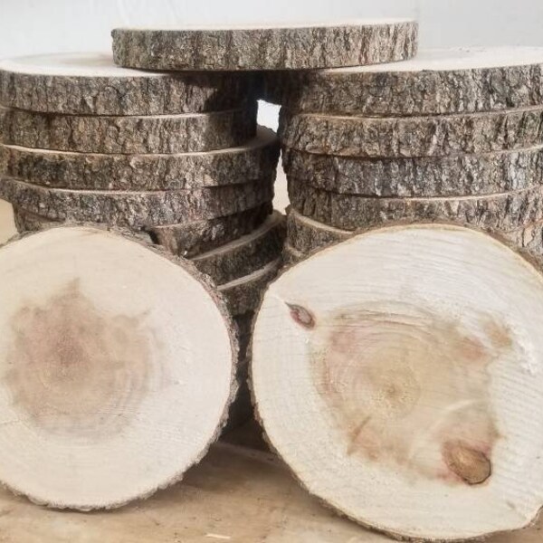 Coaster Log Slices - Etsy