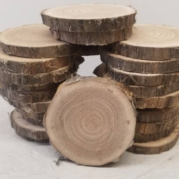 Log Slices - Etsy