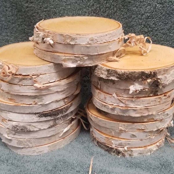 Birch Tree Slices - Etsy