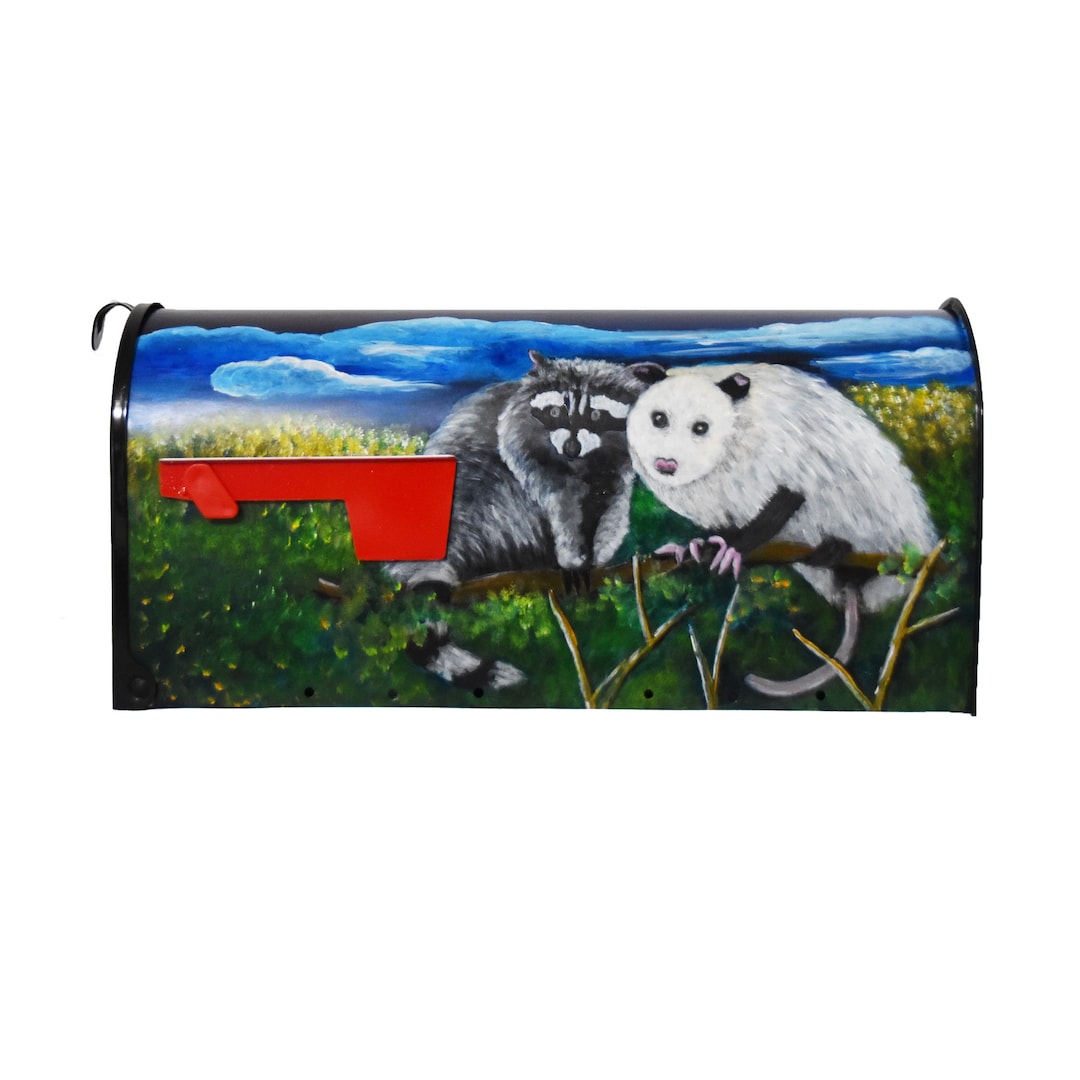 Hand Painted Raccoon and Possum Friends Mailbox With Free House Number ...