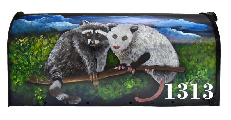 Hand Painted Raccoon and Possum Friends Mailbox With Free House Number ...