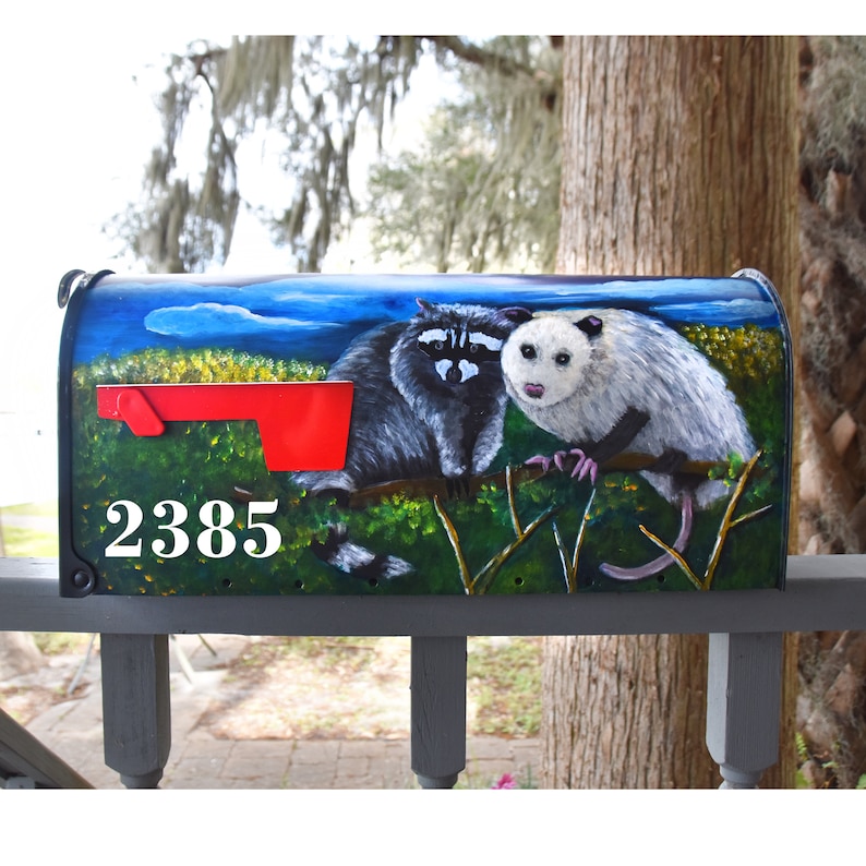 Hand Painted Raccoon and Possum Friends Mailbox With Free House Number ...