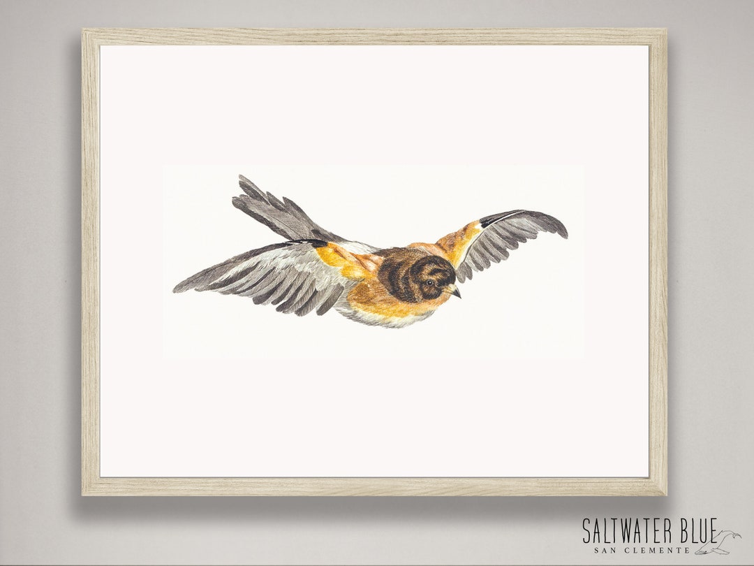 Boho Bird • Printable Art Vintage 70s Boho Wall Decor • Eclectic Art ...