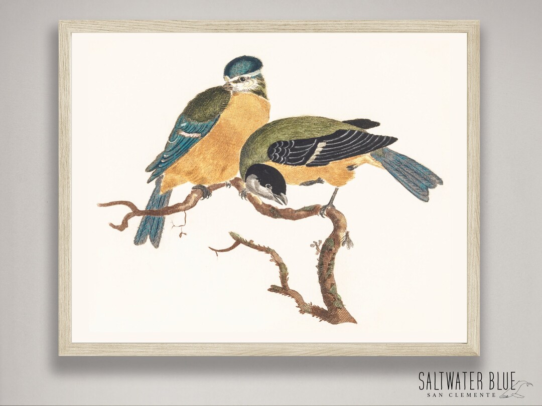 Vintage Birds Boho Wall Art Print • Eclectic Mid Century Modern ...