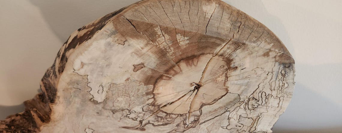 Spalted Maple 48-inch Live Edge Bench With Metal Legs - Etsy