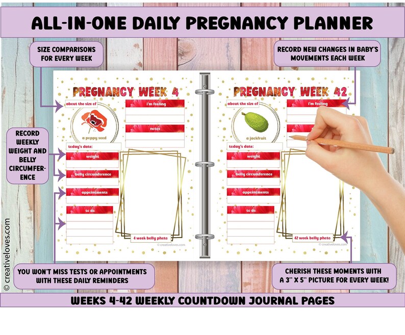 Printable Pregnancy Planner, Beautiful Pregnancy Journal, Pregnancy ...