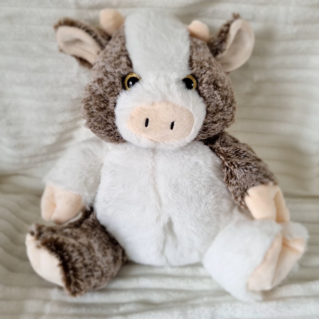 WEIGHTED Anxiety Teddy, Calming Bear for Stress, Anxiety, Depression ...