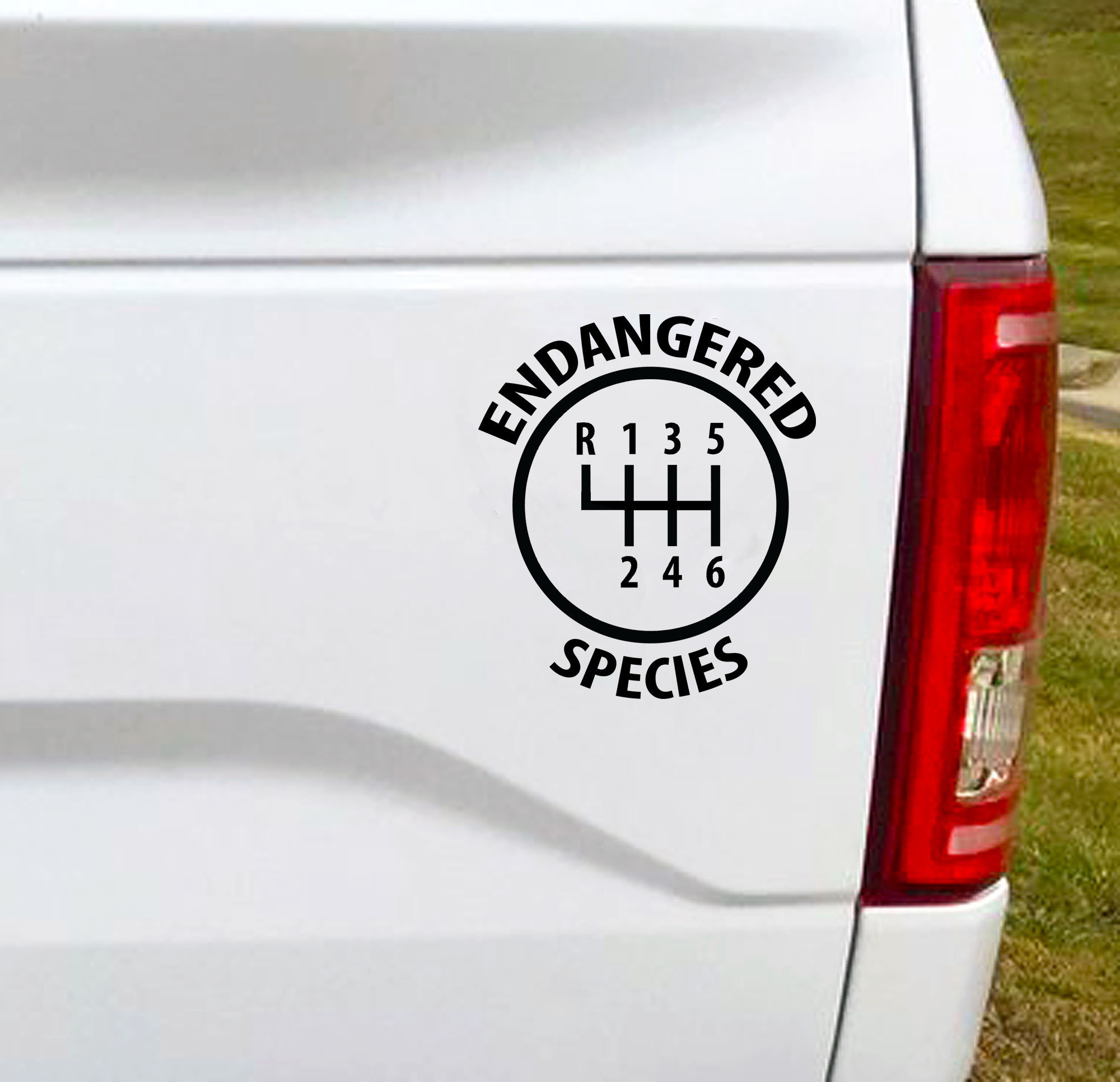Endangered Species Vinyl Car Decal Bumper Sticker - Etsy