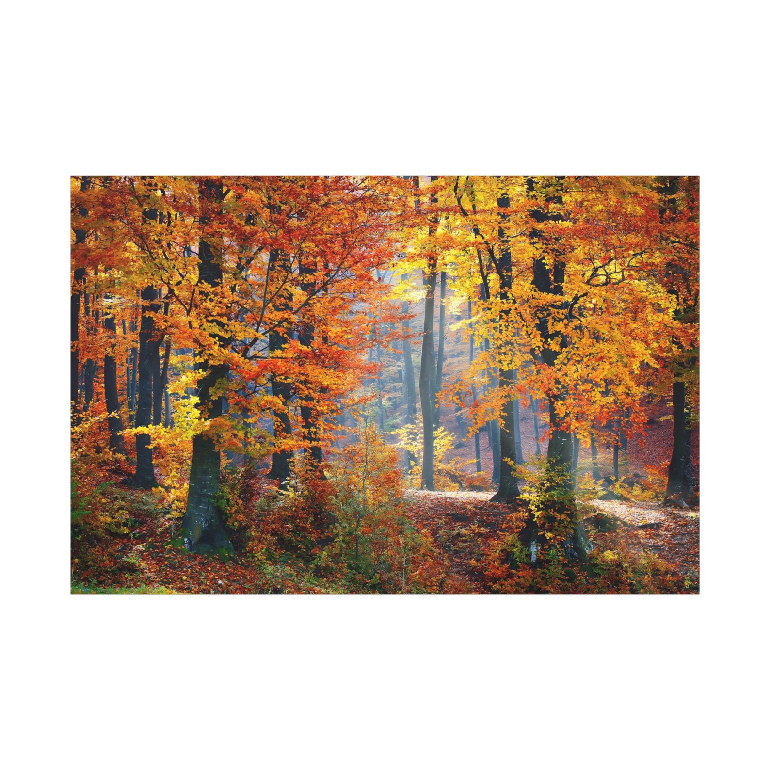 Autum Forest With Red Leaves on Classic Canvas Wall Art Print. Trees ...