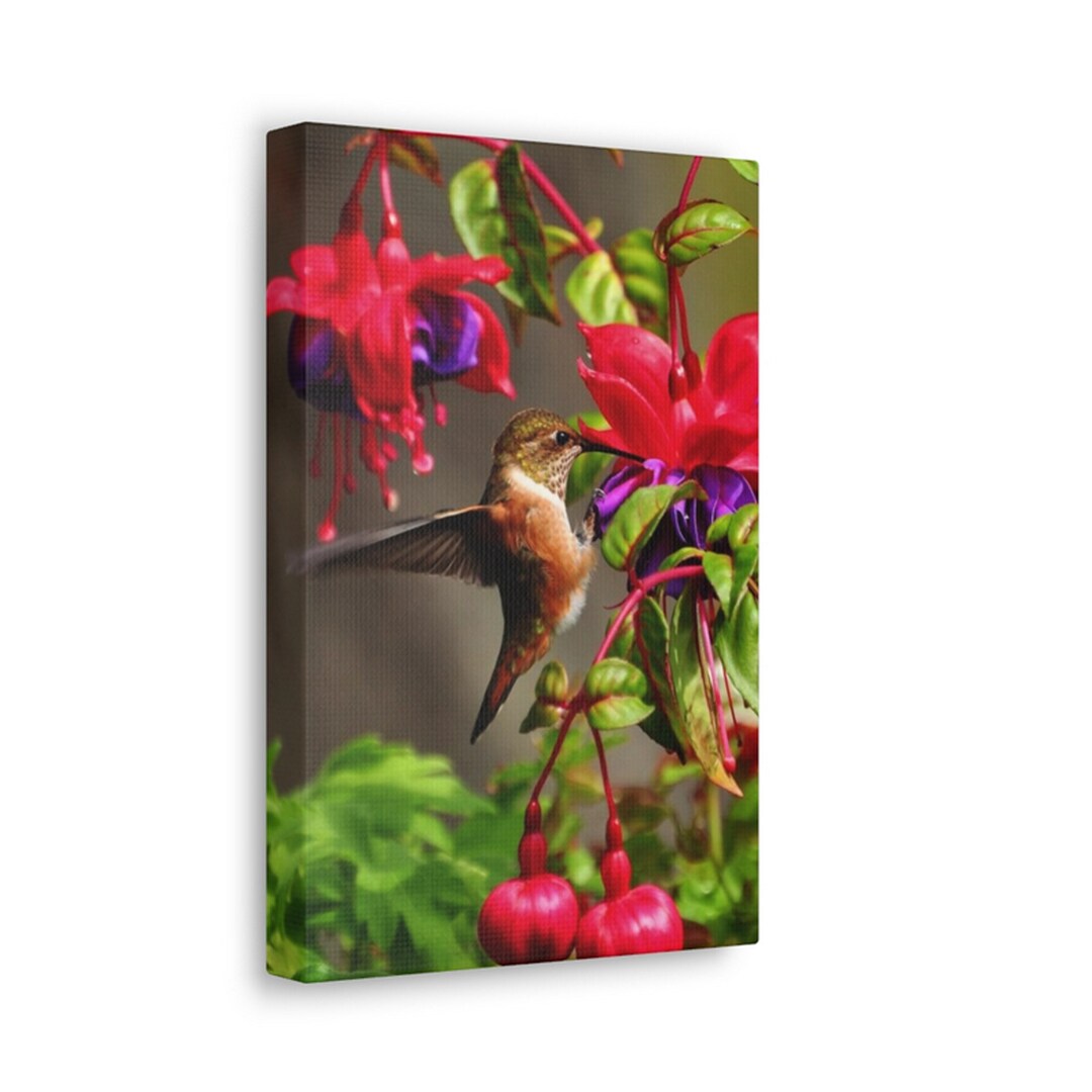 A Colibri Bird Eat Nectar on Red Flower on Canvas Wall Art Print. A ...