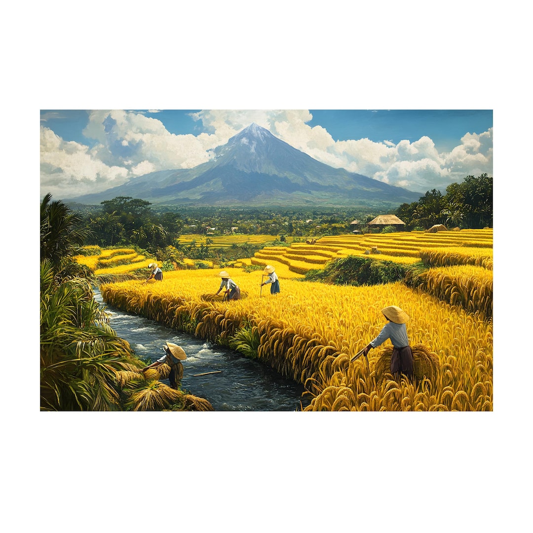 Wall Art Print, Farmers Harvest Rice in Beautiful Rice Fields Oil ...
