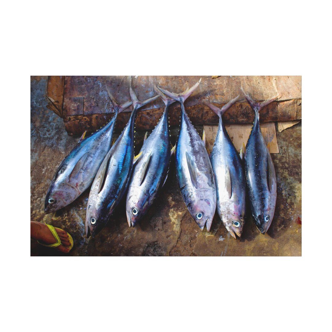 A Row of Tuna on the Floor on Canvas Wall Art Print. Animal Canvas for ...