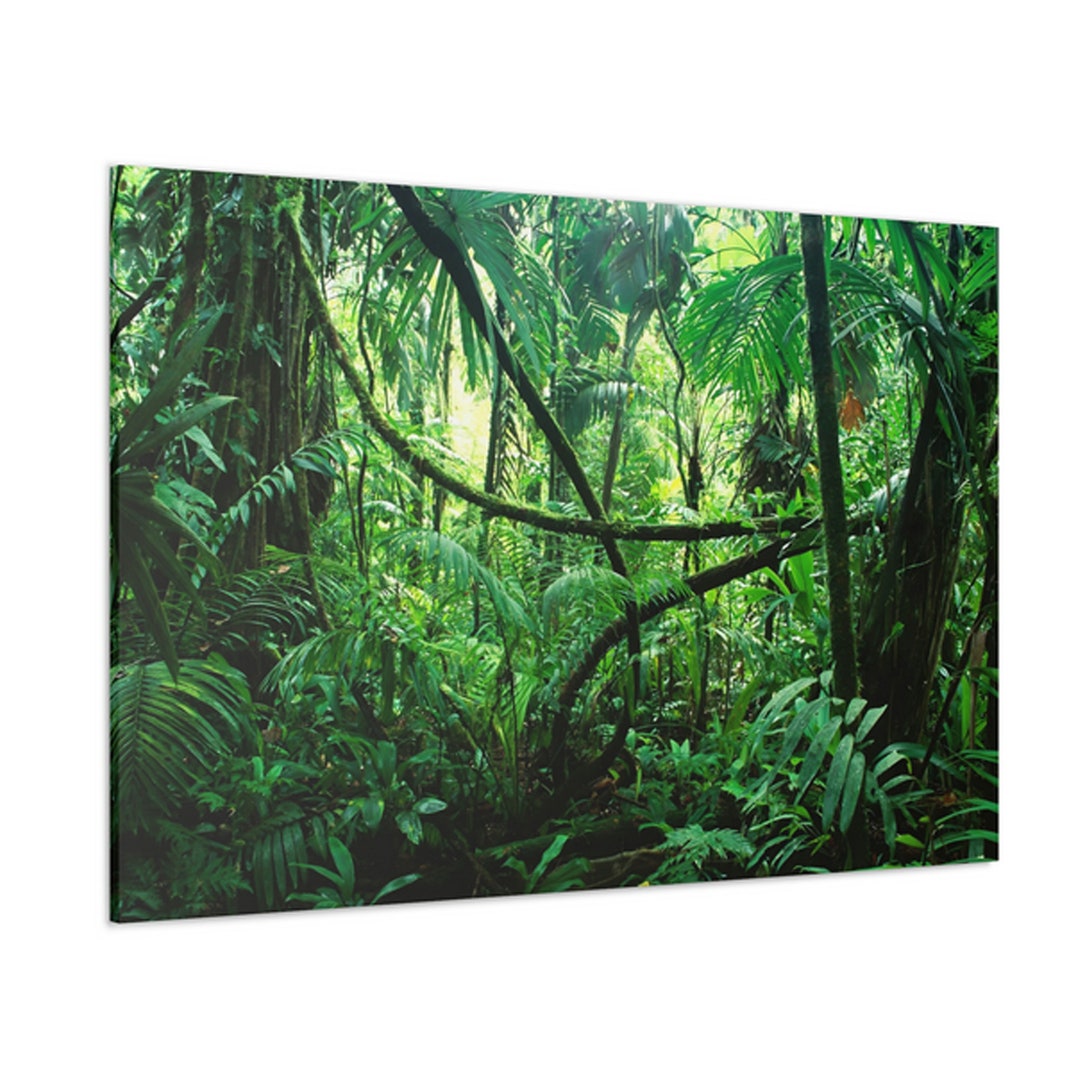 Green Tropical Rainforest on Canvas Wall Art Print. Jungle Deep Forest ...