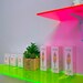Neon Shelves Acrylic Shelves Shelf Room Decor Y2K Colorful Boho Acrylic ...