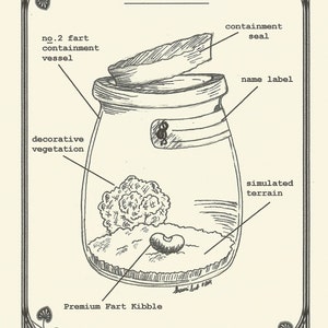 FARTARIUM Size No.2 Pet Fart Habitat - Etsy