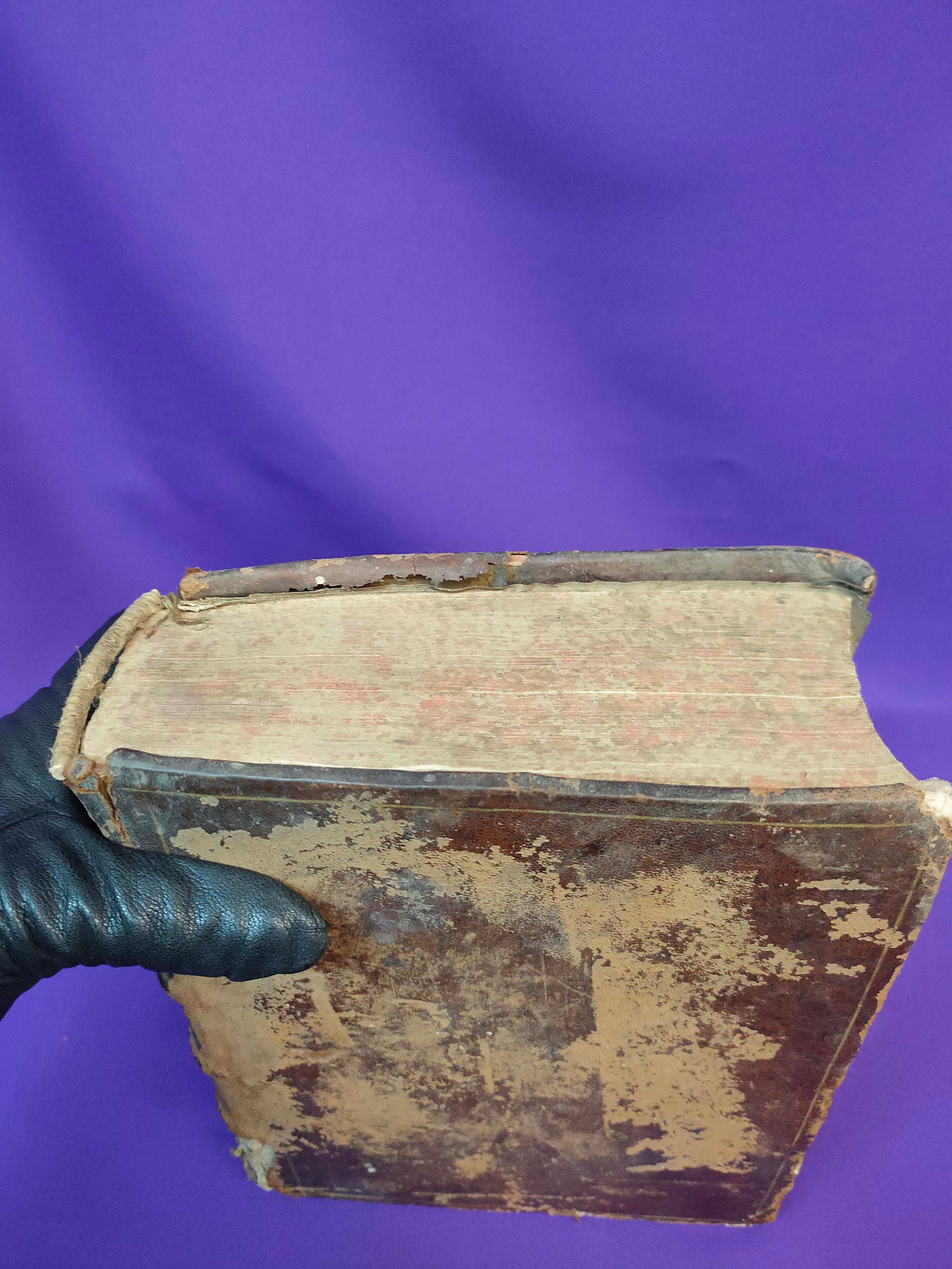 17th Century Holy Bible Holy Scripture Vulgate Edition - Etsy