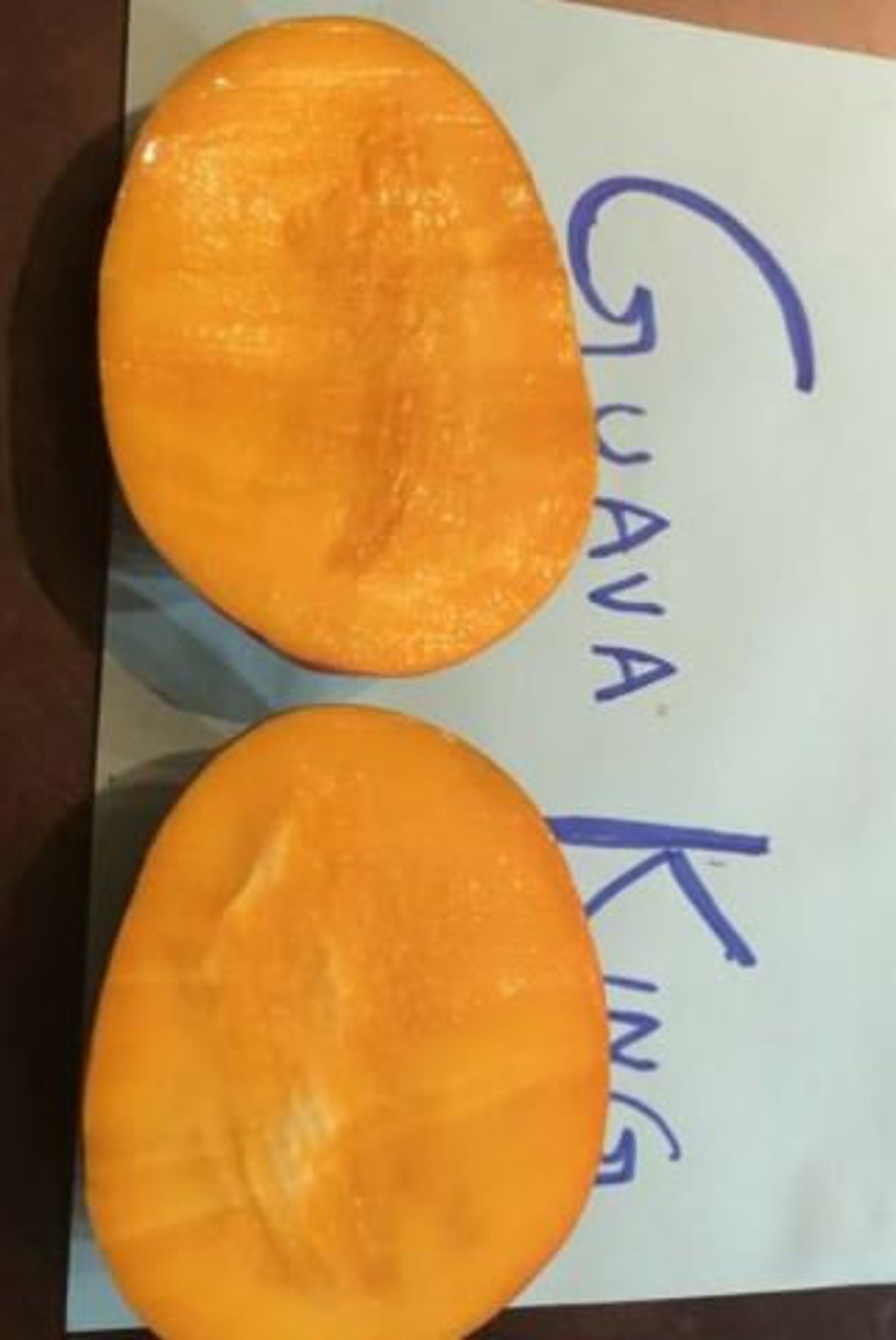 Grafted Venus Mango Tree, New Variety From Zill - Etsy