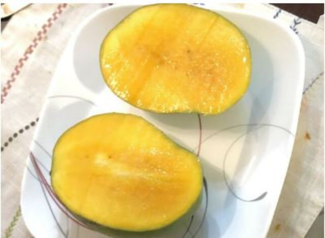 Himsagar Indian Mango One of the Very Best Mango in the World - Etsy