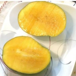Himsagar Indian Mango One of the Very Best Mango in the World - Etsy