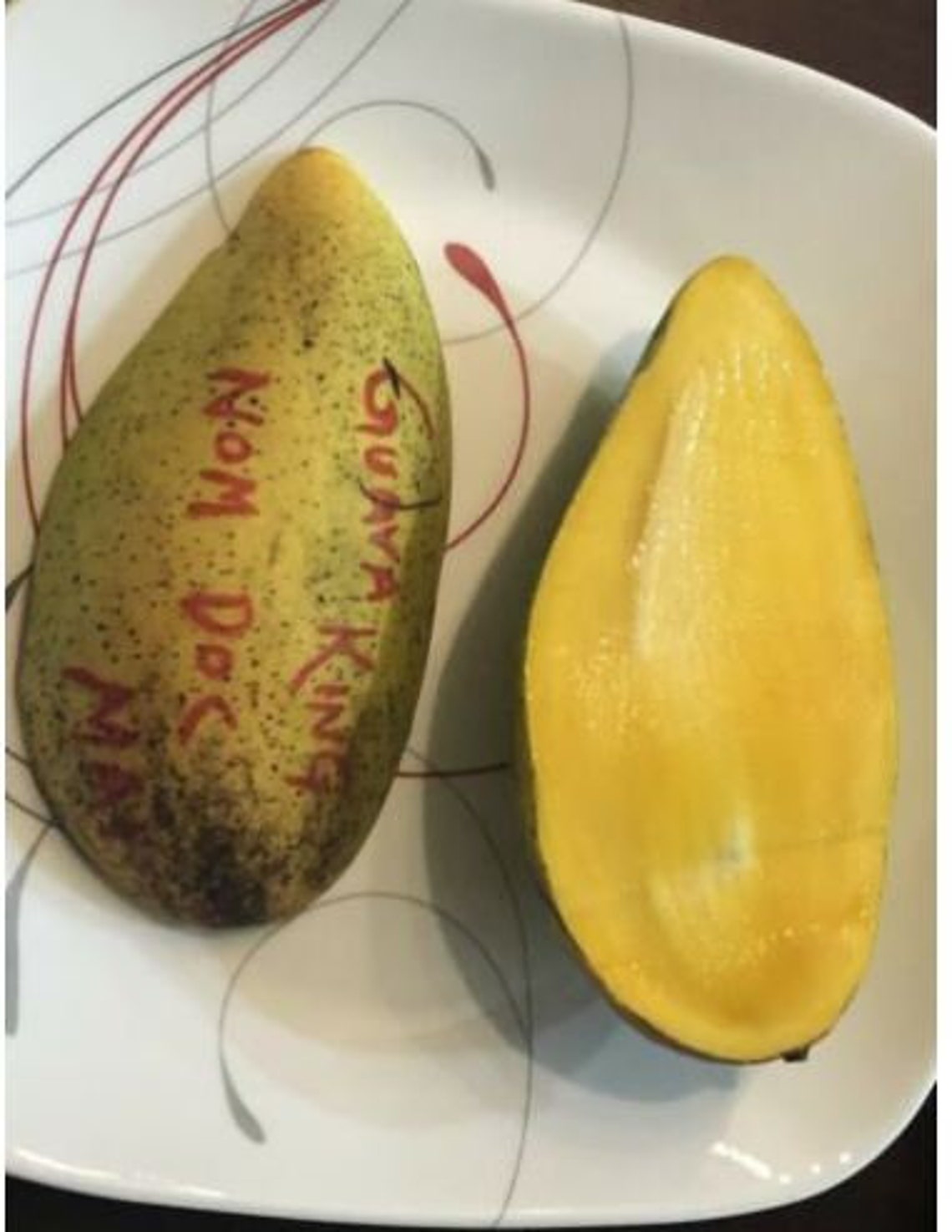 Grafted Thailand Mango Num Doc Mai Tree | Etsy