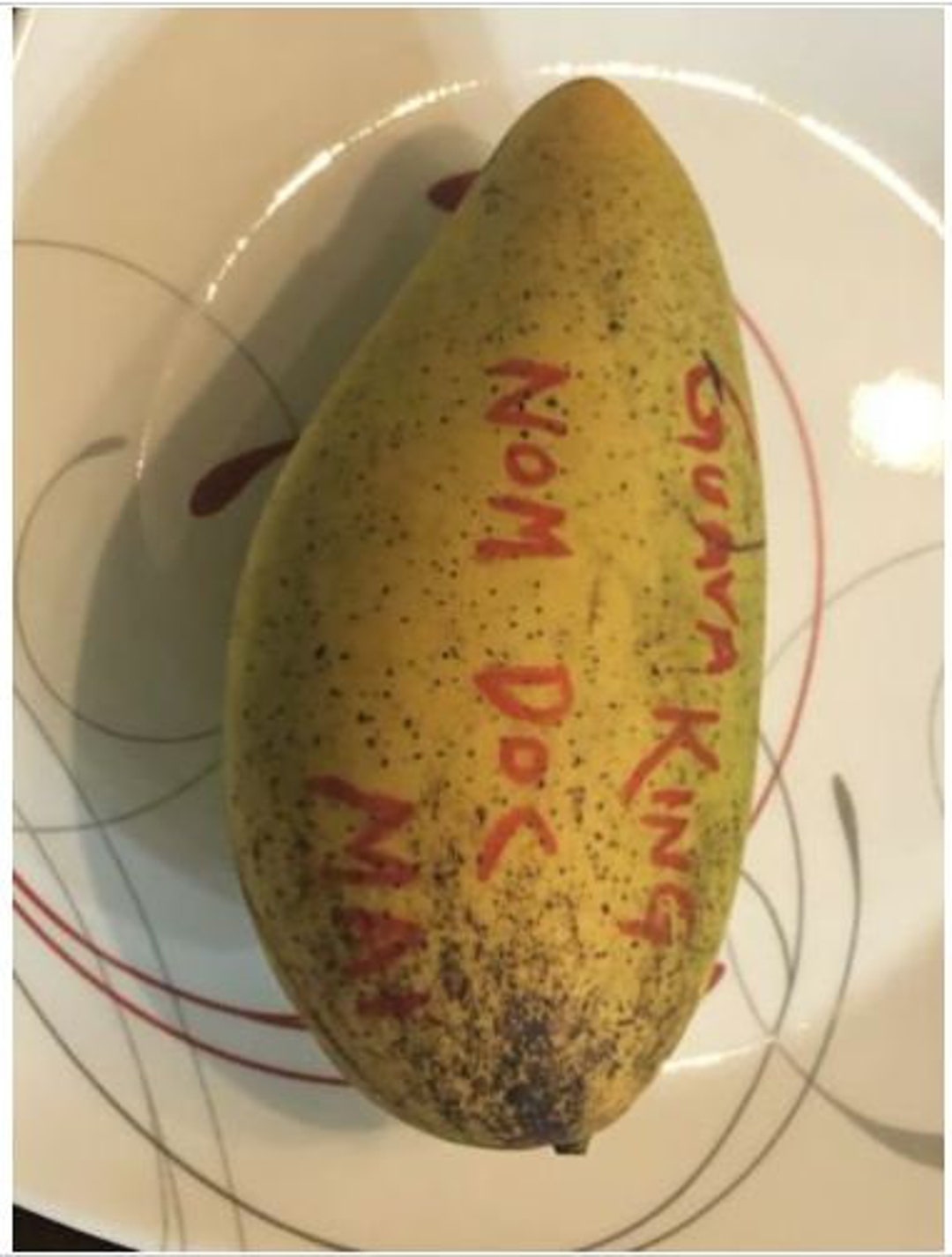 Grafted Thailand Mango Num Doc Mai Tree - Etsy